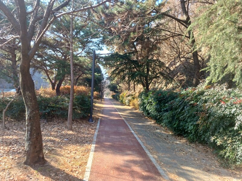 로스트아크 인벤 광기는 피통이 문제야 로스트아크 인벤 버서커 게시판