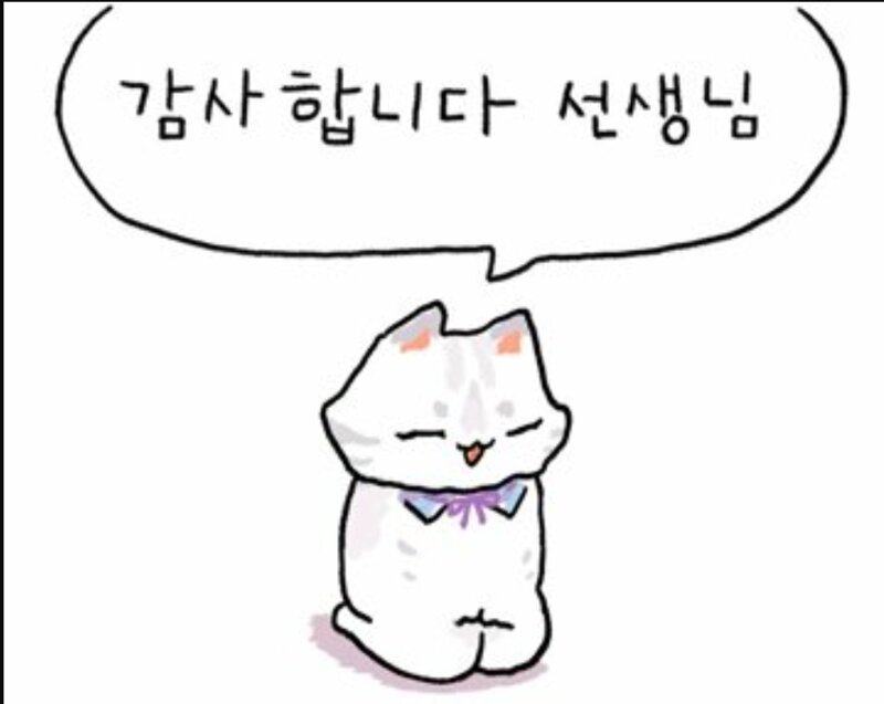 로스트아크 인벤 고대셋팅질문좀요 로스트아크 인벤 건슬링어 게시판