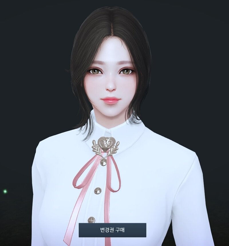 로스트아크 인벤 애니츠 헤어 심각한 고민 로스트아크 인벤 스크린샷 갤러리