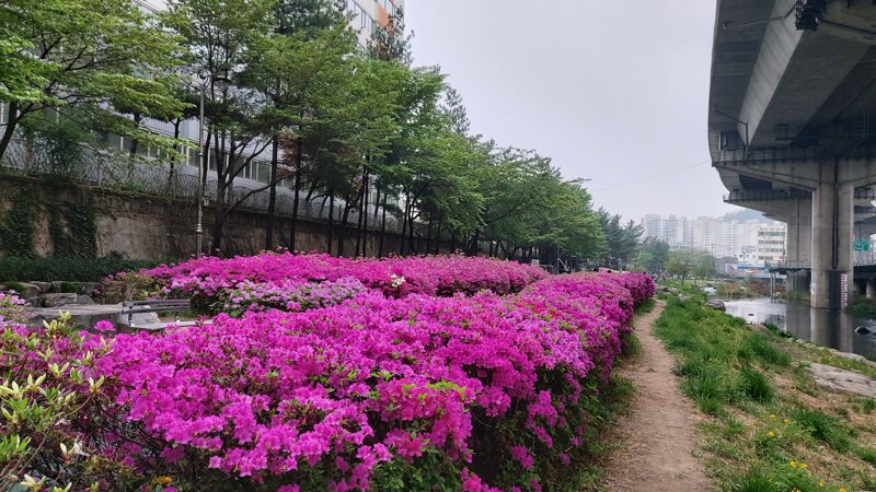 때려 주세요 디아블로2 자유 게시판 디아블로2 인벤