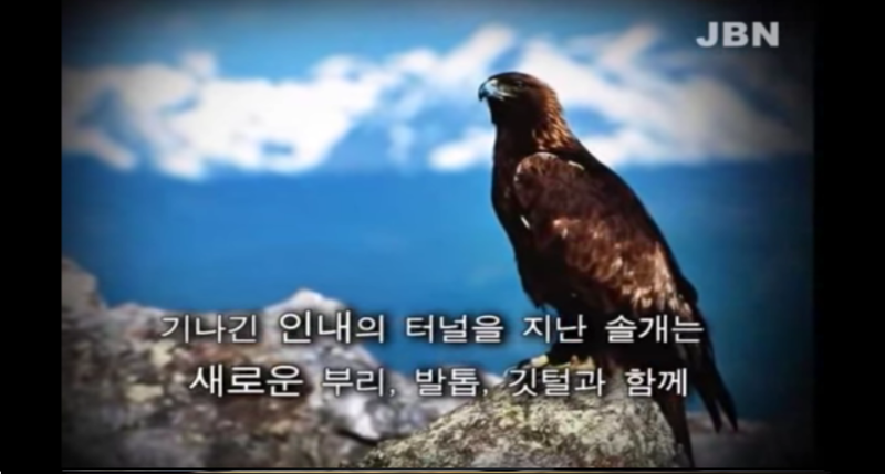 메이플스토리 인벤 본섭은 솔개다 메이플스토리 인벤 자유게시판