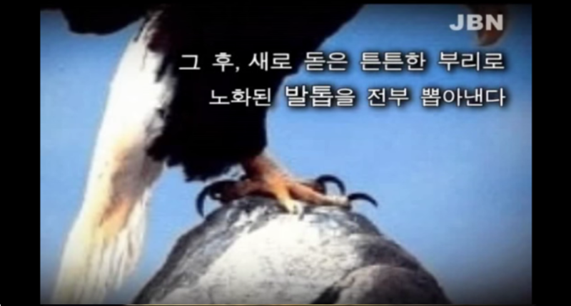 메이플스토리 인벤 본섭은 솔개다 메이플스토리 인벤 자유게시판