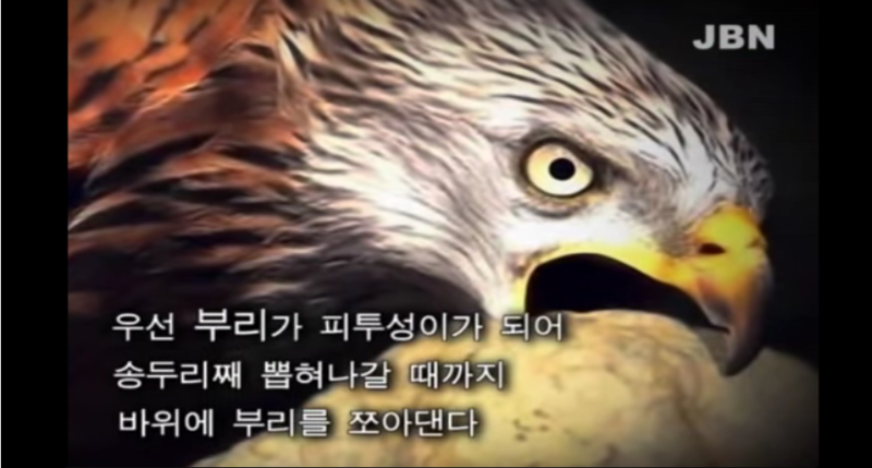 메이플스토리 인벤 본섭은 솔개다 메이플스토리 인벤 자유게시판