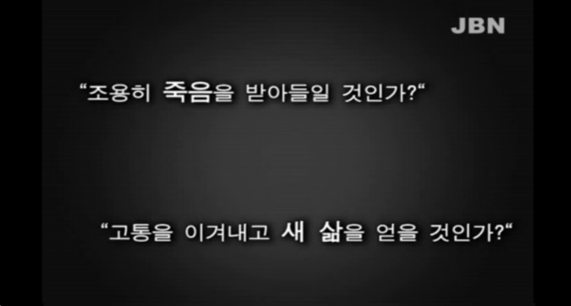 메이플스토리 인벤 본섭은 솔개다 메이플스토리 인벤 자유게시판