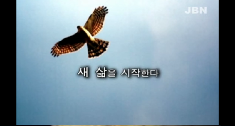 메이플스토리 인벤 본섭은 솔개다 메이플스토리 인벤 자유게시판