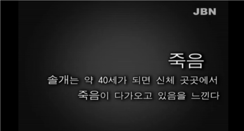 메이플스토리 인벤 본섭은 솔개다 메이플스토리 인벤 자유게시판