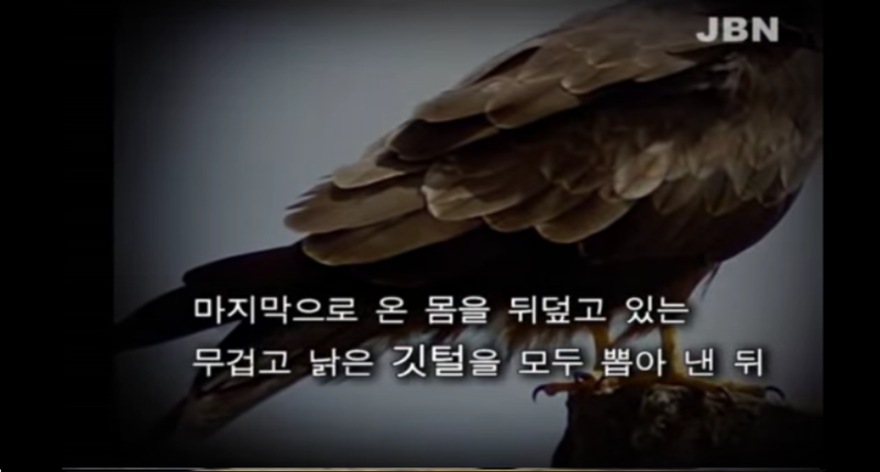 메이플스토리 인벤 본섭은 솔개다 메이플스토리 인벤 자유게시판
