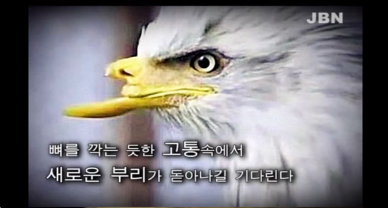메이플스토리 인벤 본섭은 솔개다 메이플스토리 인벤 자유게시판