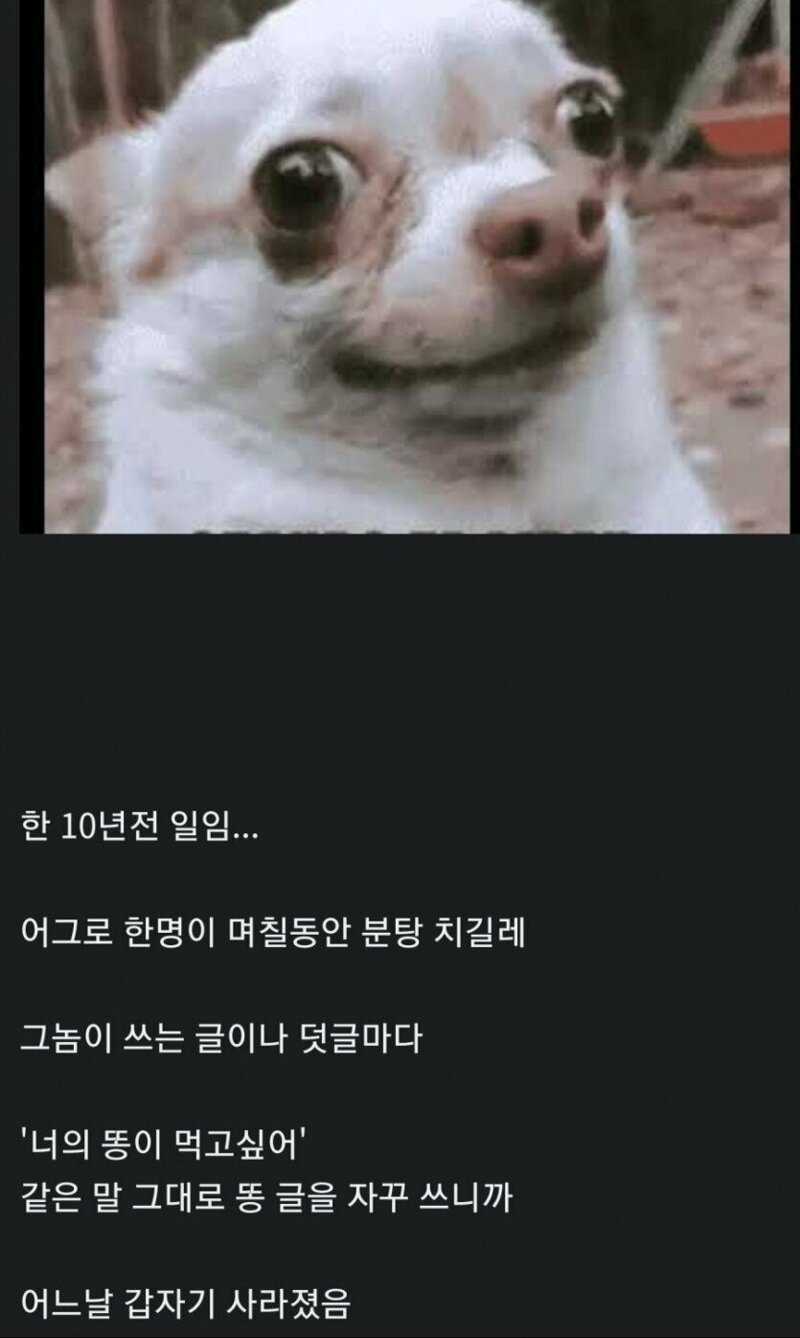 메이플스토리 인벤 분탕대처법 메이플스토리 인벤 자유게시판