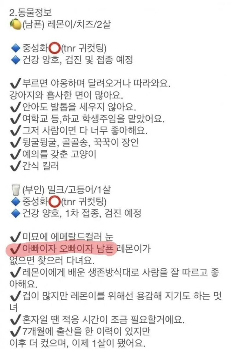 로스트아크 인벤 아빠면서 오빠이자 남편 ㅁㅊ ㄷㄷㄷㄷㄷㄷㄷㄷ 로스트아크 인벤 자유 게시판구