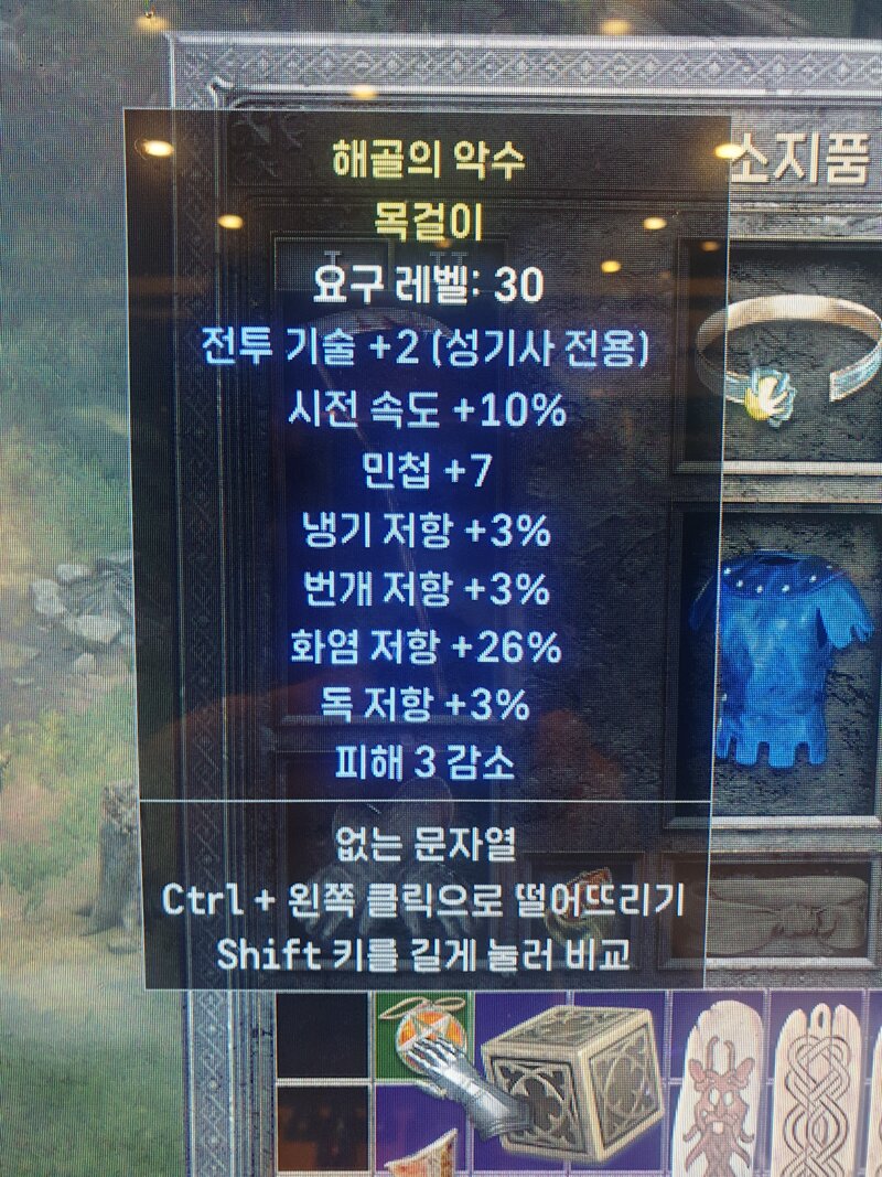 성기사 목걸이좀봐주셔요 디아블로2 자유 게시판 디아블로2 인벤