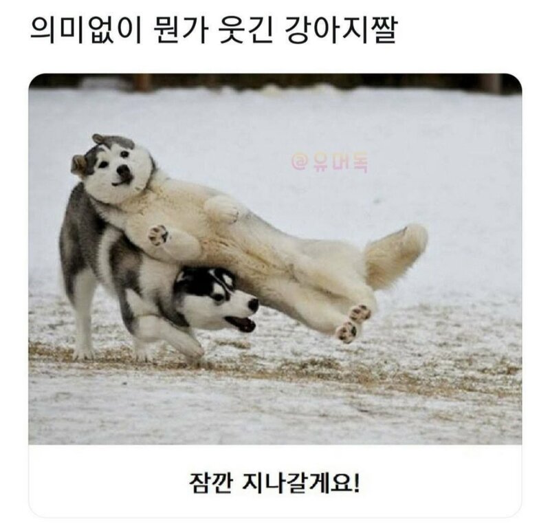 메이플스토리 인벤 지나가던 퐁퐁이 입니다 메이플스토리 인벤 자유게시판