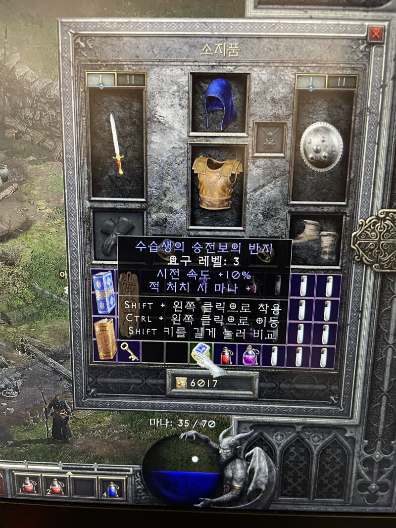 렙3 짜리 쩌는 반지 ㅋㅋㅋ 디아블로2 자유 게시판 디아블로2 인벤