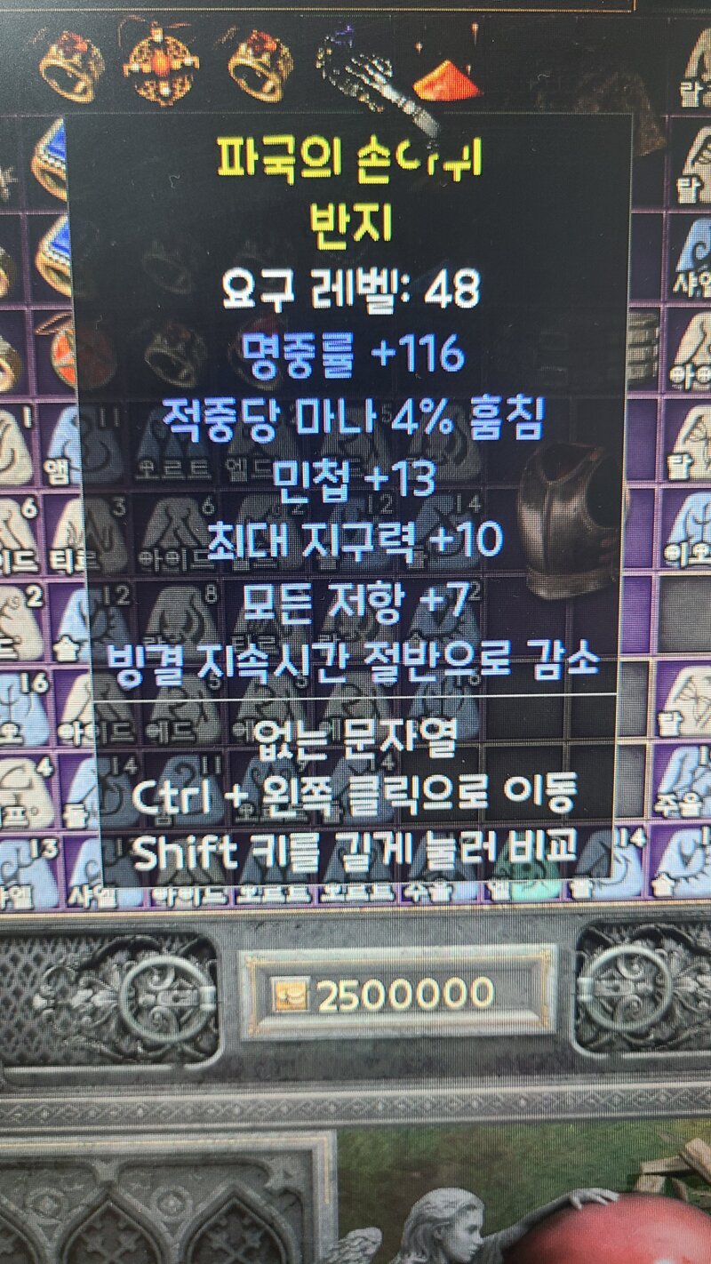 형님들 이거 가격있을까요 환일까요 디아블로2 스크린샷 게시판 디아블로2 인벤