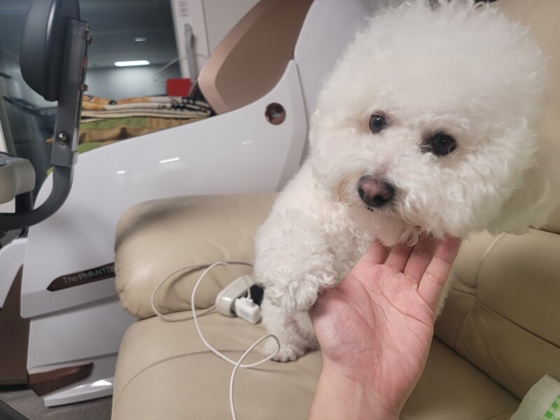 메이플스토리 인벤 농장개선 안하냐 메이플스토리 인벤 자유게시판