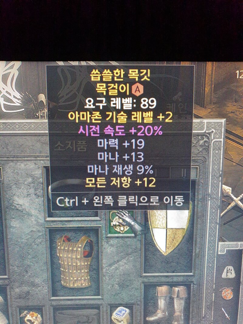 형님들 아마 광패아뮬 어떤가요 디아블로2 득템and자랑 게시판 디아블로2 인벤