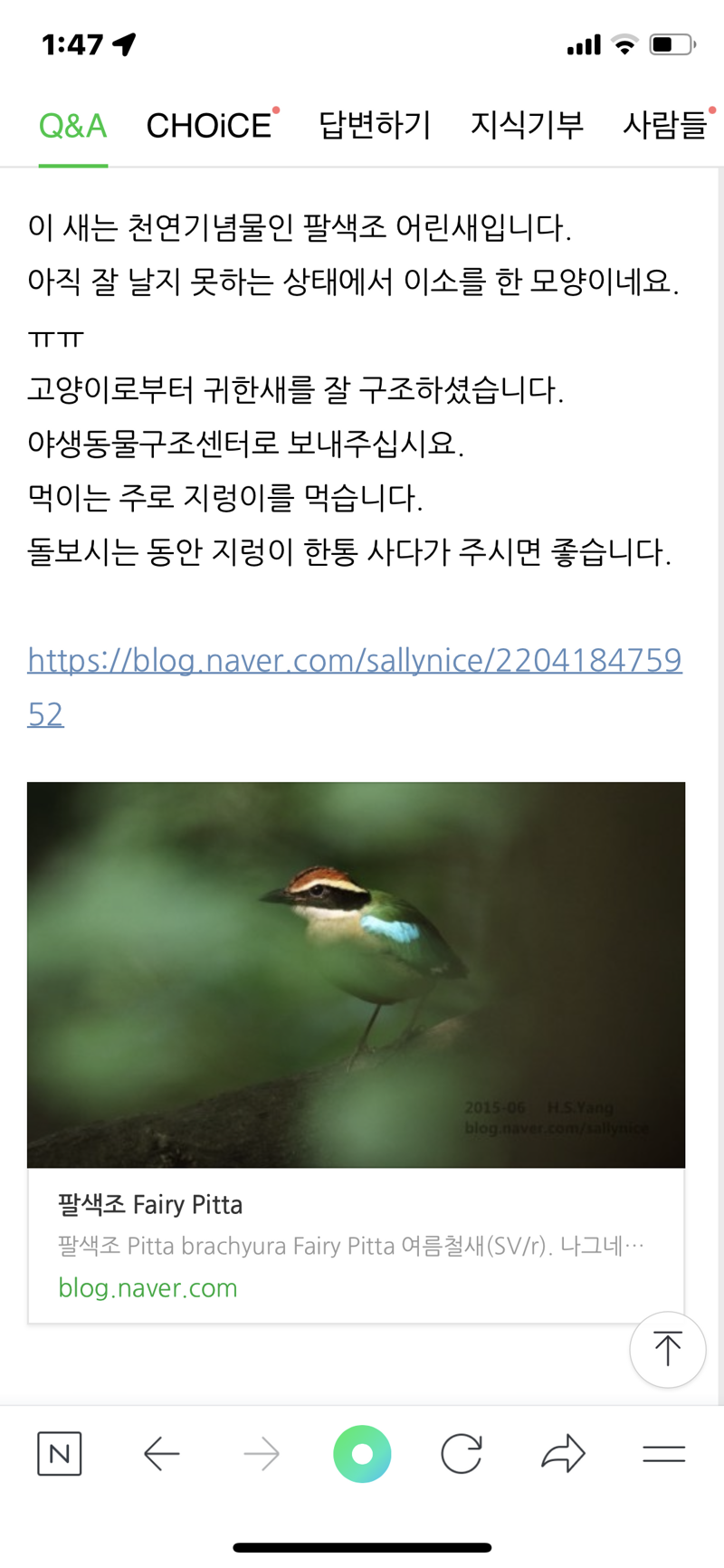 메이플스토리 인벤 털바퀴 만행 메이플스토리 인벤 자유게시판