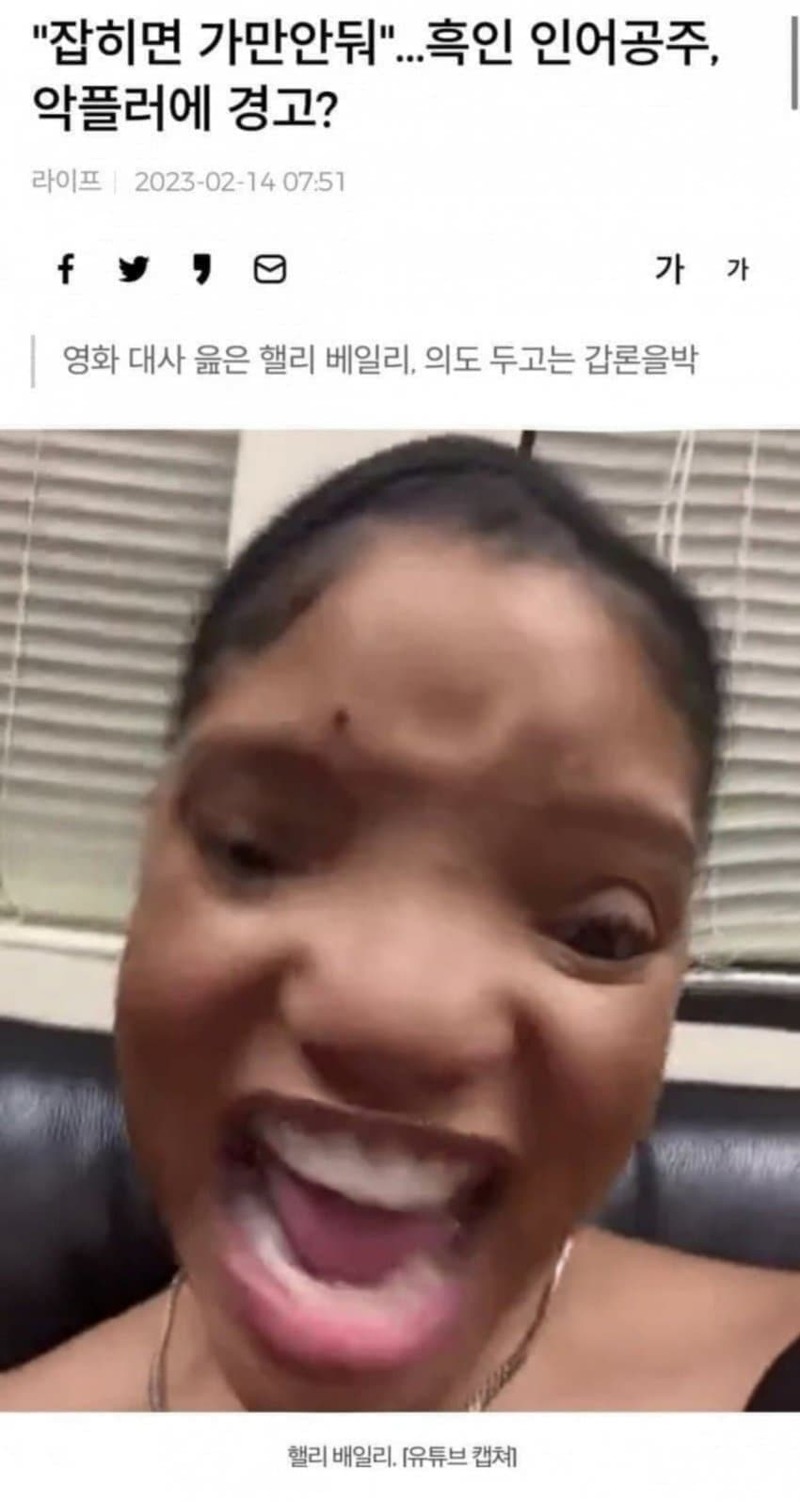 메이플스토리 인벤 비슷비슷 어인공주 메이플스토리 인벤 자유게시판
