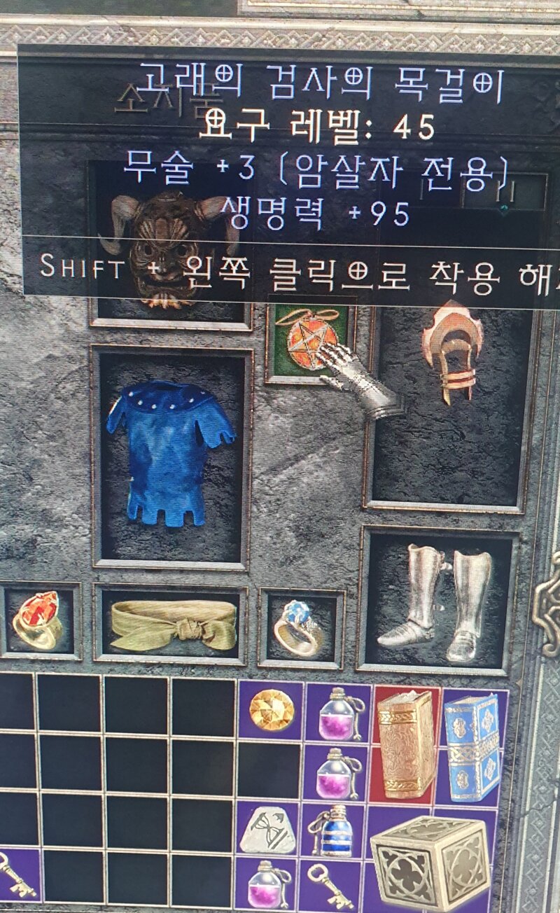 무술목걸이 애매한데 사용가능한가요 디아블로2 득템and자랑 게시판 디아블로2 인벤