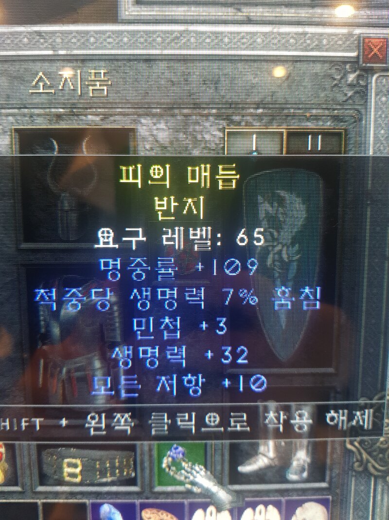 라흡 레어링 내수용으로 좋은지 디아블로2 자유 게시판 디아블로2 인벤