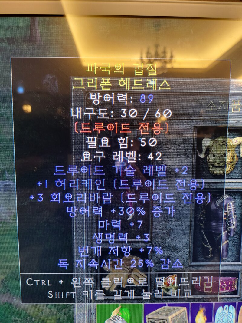 레더 드루뚜껑 겐찬은건가요 디아블로2 자유 게시판 디아블로2 인벤