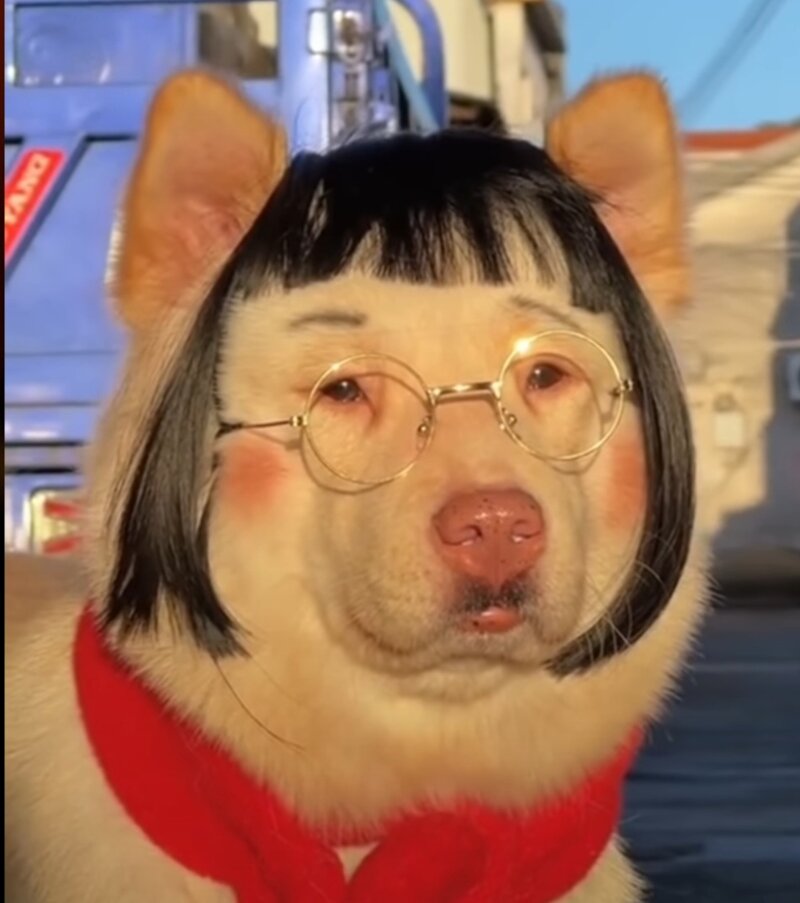 메이플스토리 인벤 어빌 첫줄 메획 메이플스토리 인벤 리부트 게시판