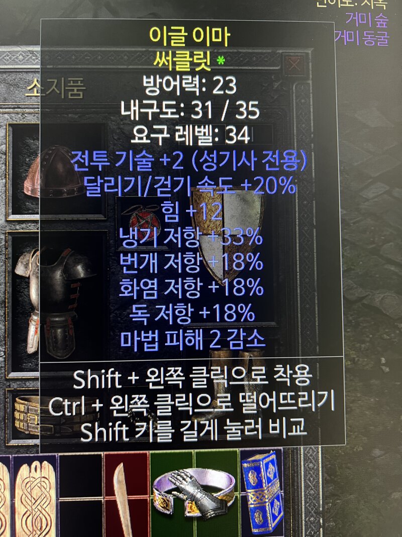 성기사 뚜껑 감정 부탁드립니다 디아블로2 득템and자랑 게시판 디아블로2 인벤