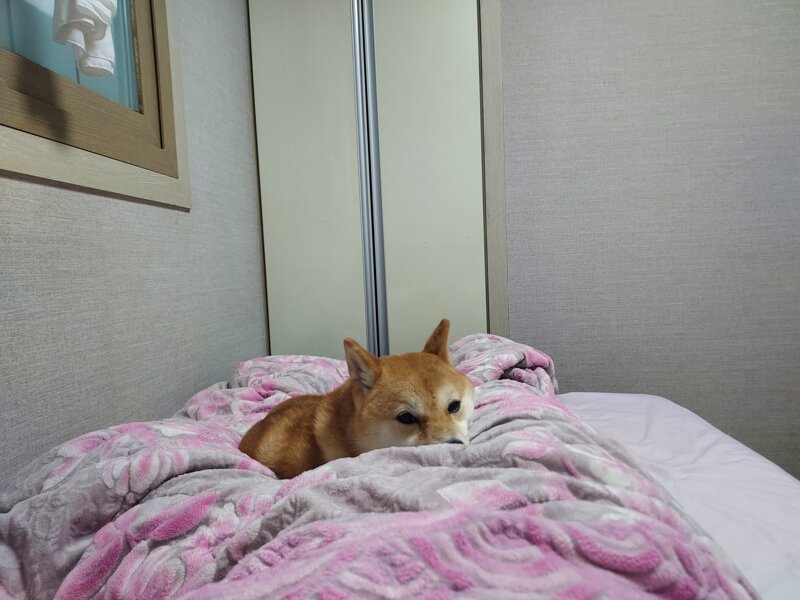메이플스토리 인벤 실시간 야스 메이플스토리 인벤 자유게시판