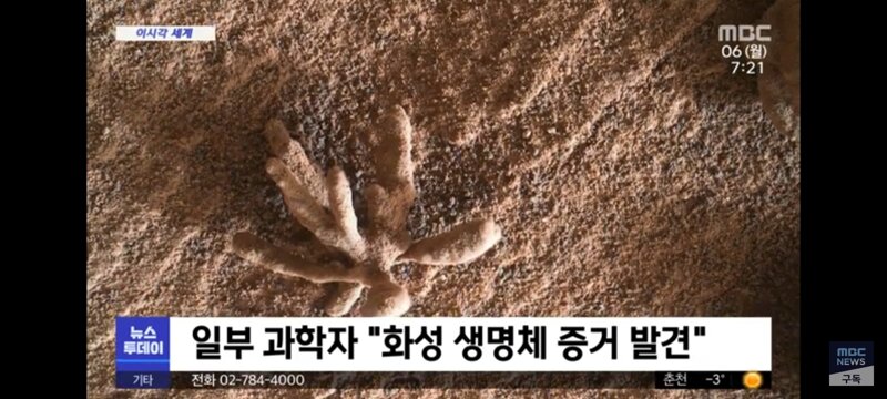 메이플스토리 인벤 현실에서 그란디스 발견됐다는데 메이플스토리 인벤 자유게시판
