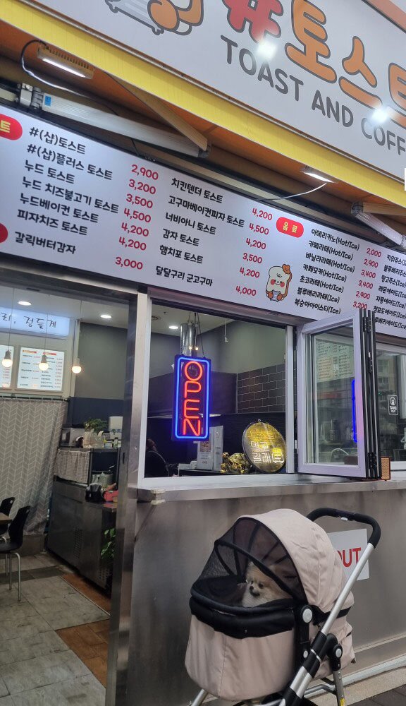 울집 강아지 짤 모음 오픈이슈갤러리 인벤