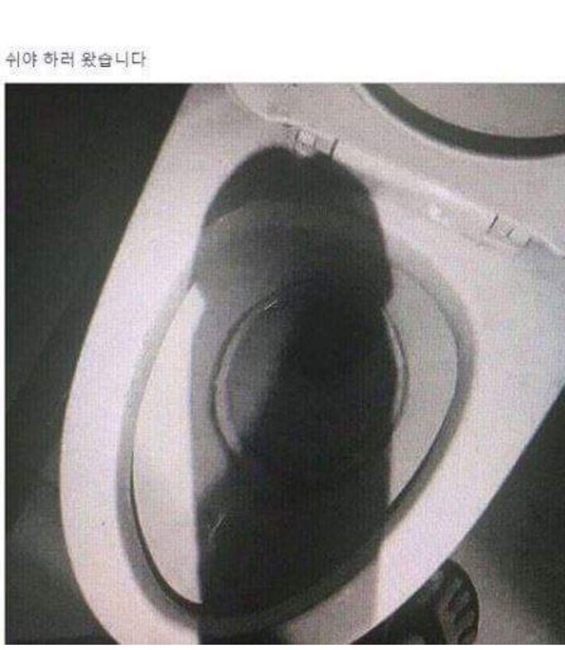 메이플스토리 인벤 휴대 폰에 있던 짤 메이플스토리 인벤 자유게시판