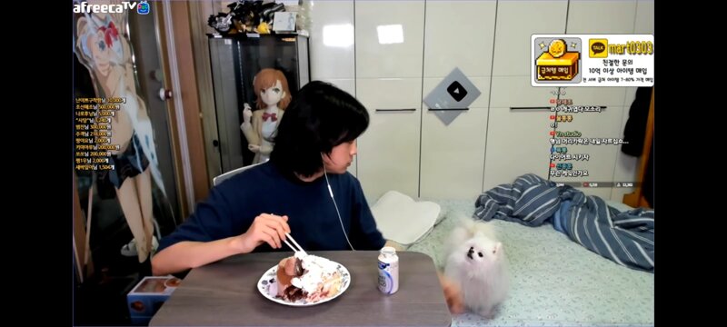 메이플스토리 인벤 해조 방송은 이갬성이지 메이플스토리 인벤 자유게시판