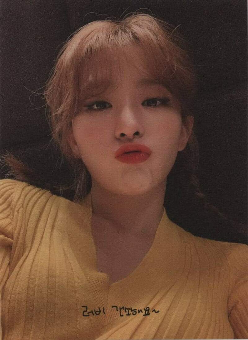 로스트아크 인벤 앞으로 신페페파 방제 로스트아크 인벤 자유 게시판구