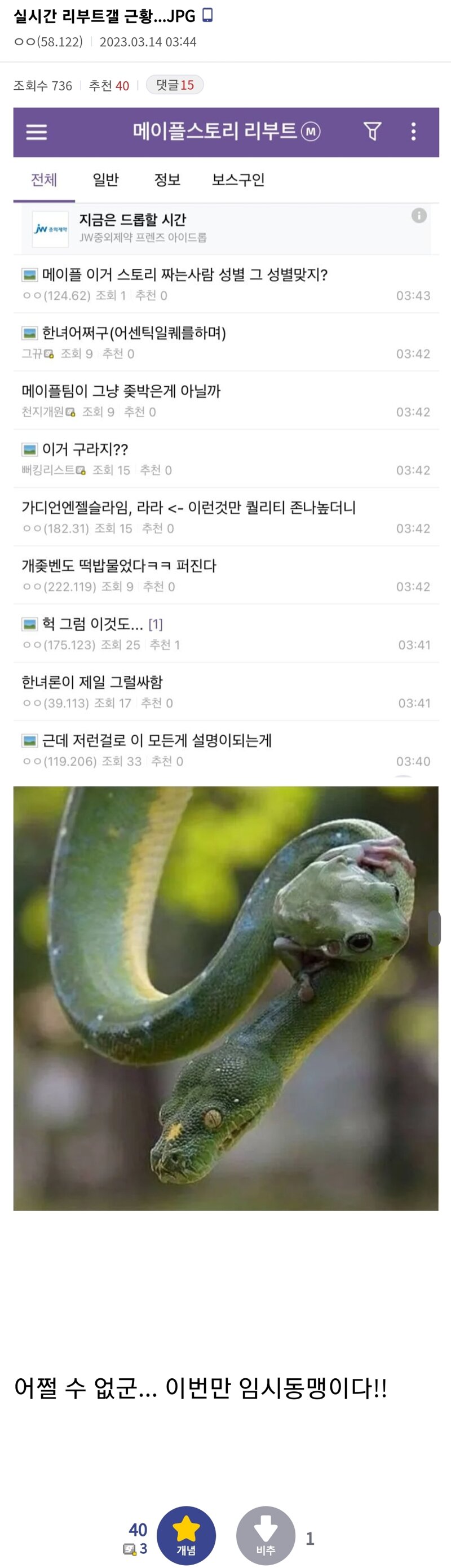 메이플스토리 인벤 갤펌리퐁대전 결론 메이플스토리 인벤 자유게시판