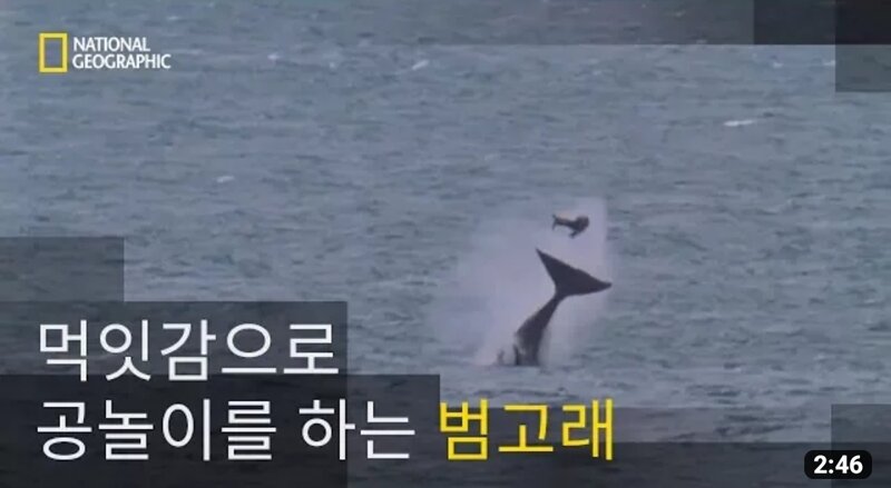 메이플스토리 인벤 신기한 자연세계 메이플스토리 인벤 자유게시판