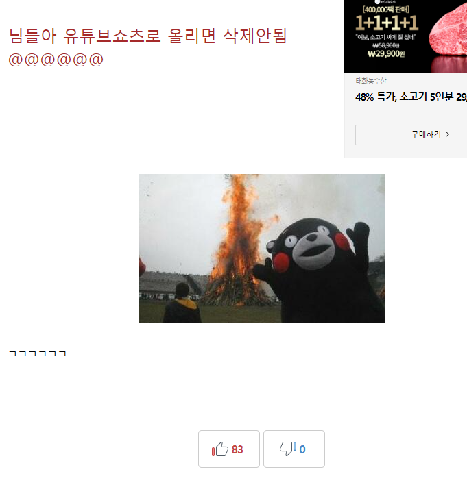 이번 메이플 사태에 넥슨의 대처는 오픈이슈갤러리 인벤