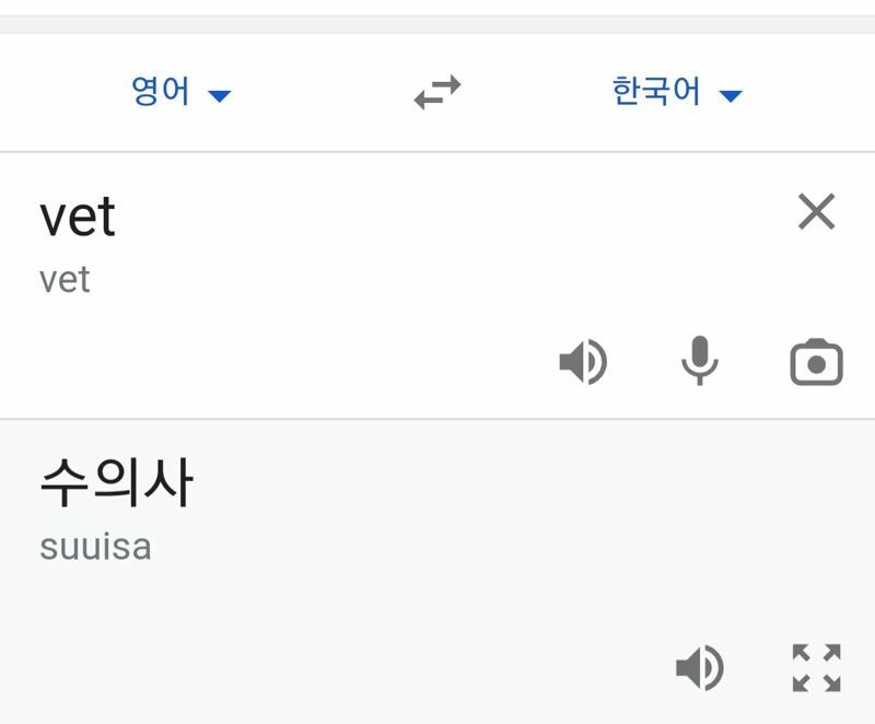 메이플스토리 인벤 중국인 수의사중에서는 예쁜 사람이 없대 메이플스토리 인벤 자유게시판