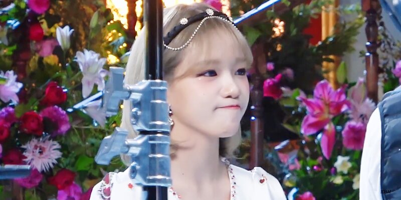 메이플스토리 인벤 강아지 키우고 싶다 ㅠㅠ 메이플스토리 인벤 자유게시판