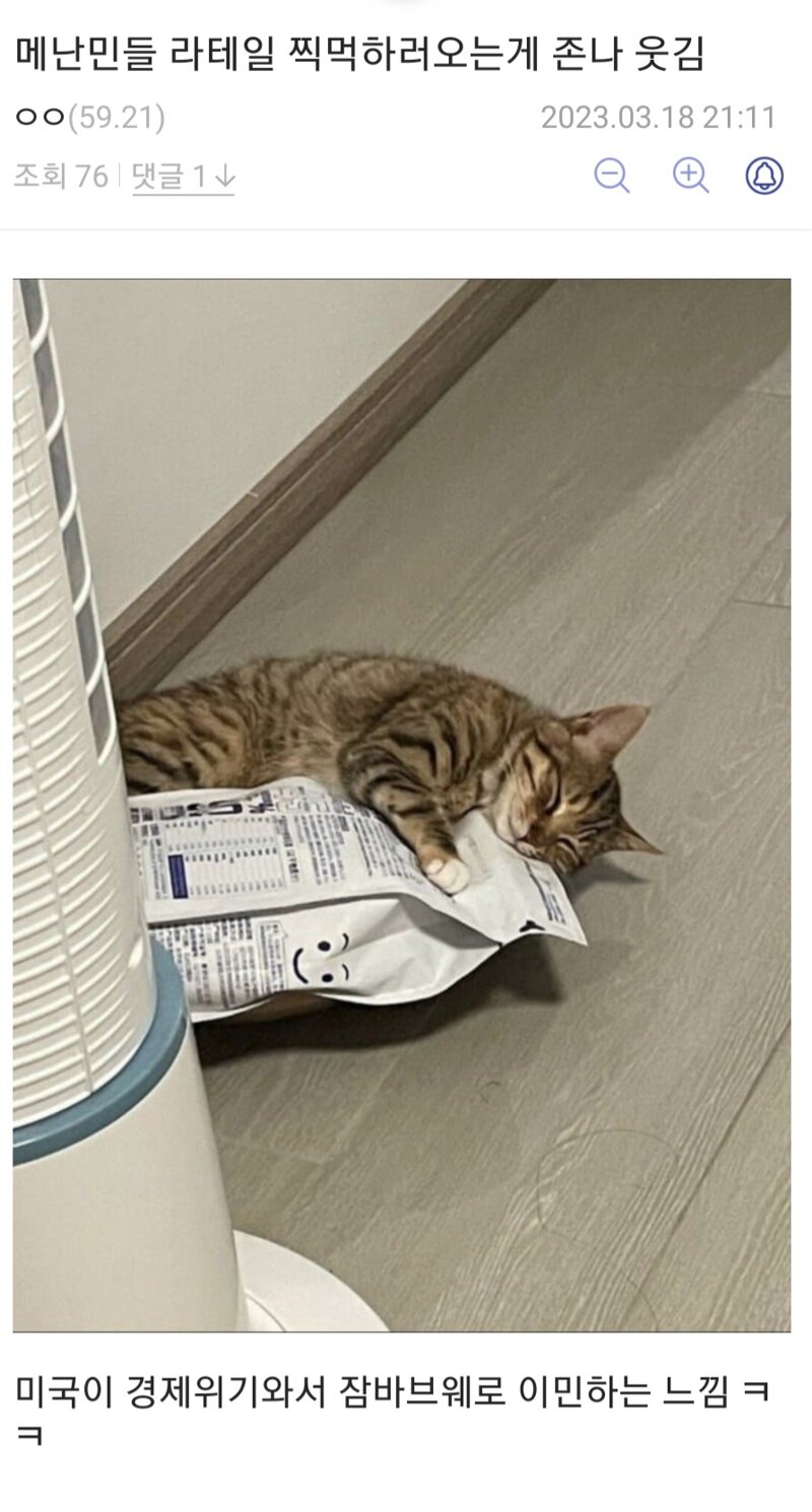 메이플스토리 인벤 라테일 찍먹해보려고 커뮤 돌아다니는데 메이플스토리 인벤 자유게시판