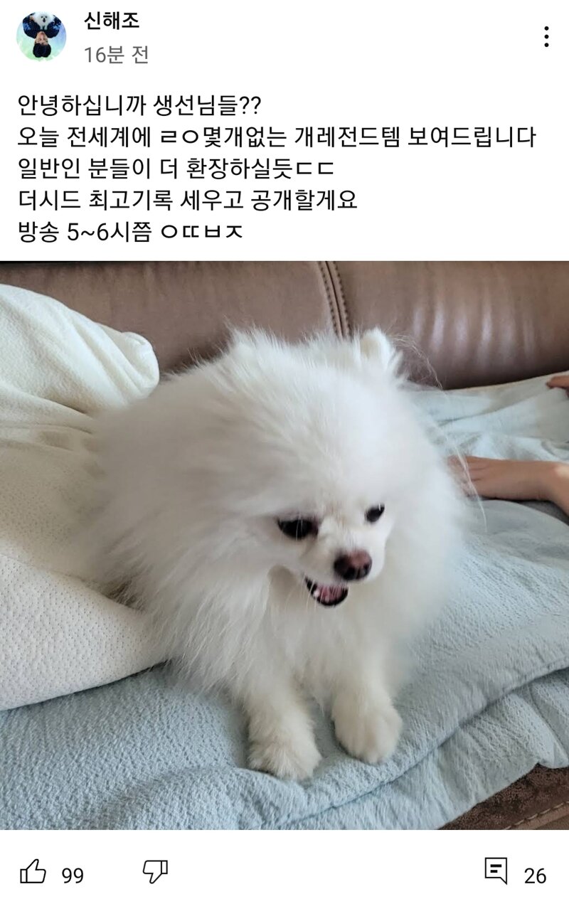 메이플스토리 인벤 ㅇㅂ실시간 신해조 공지 큰거온다 메이플스토리 인벤 자유게시판