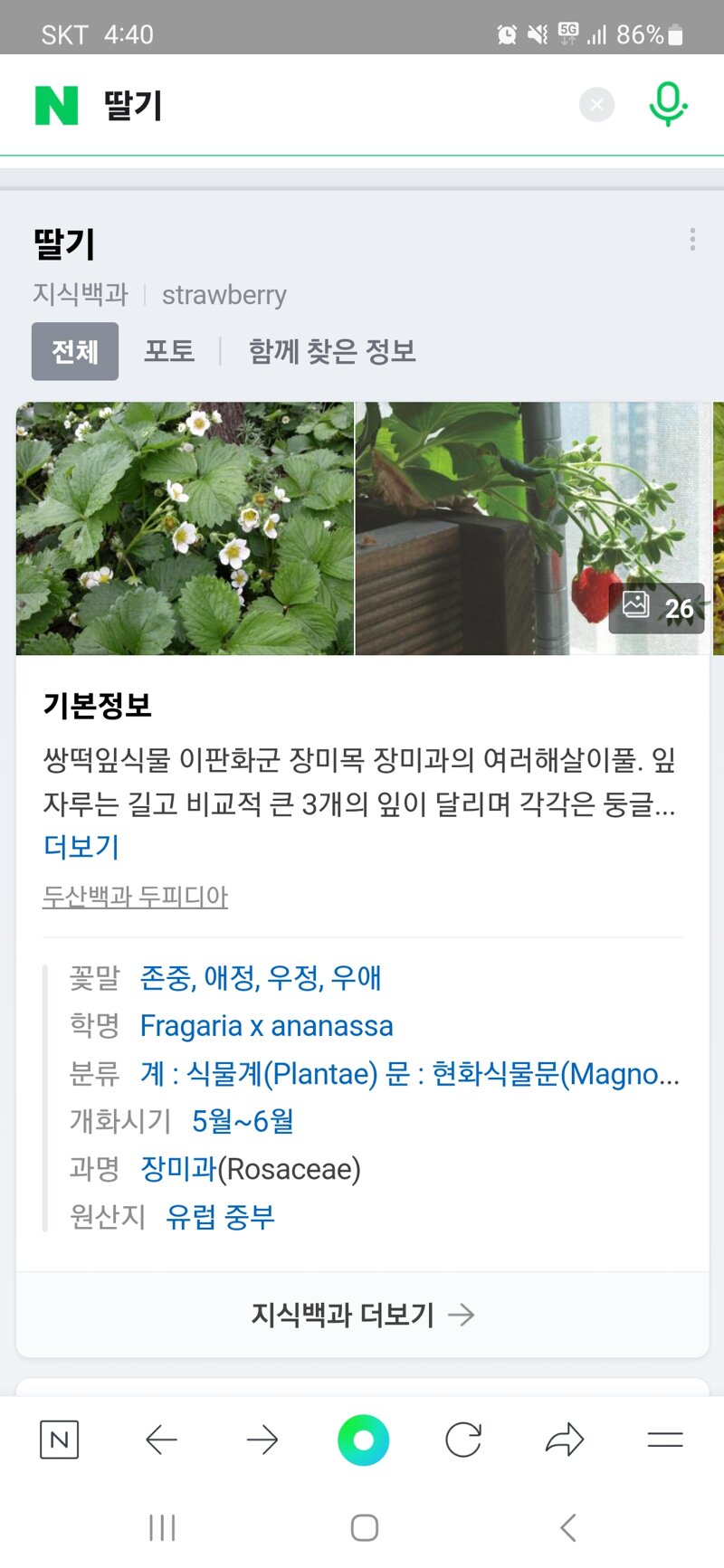 메이플스토리 인벤 딸기 메이플스토리 인벤 자유게시판