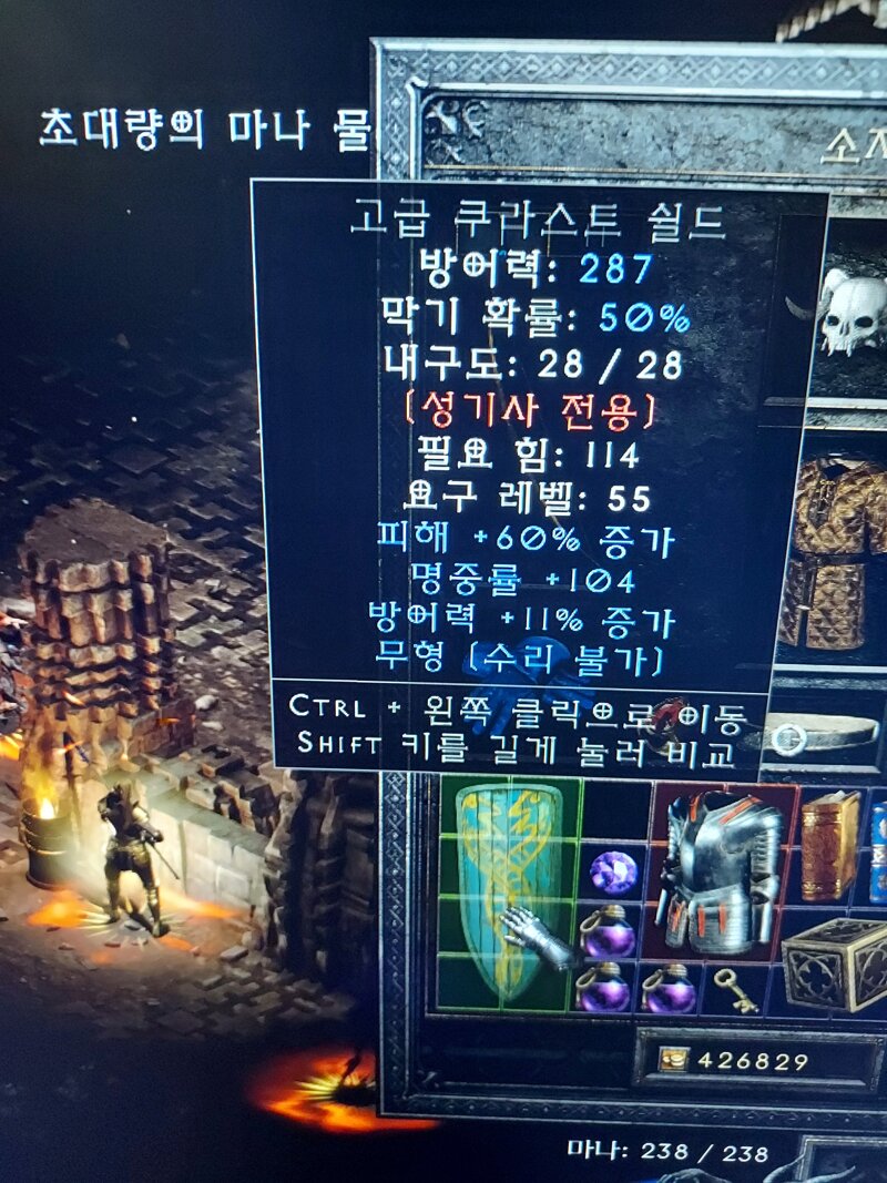 망명 재료로 사용 될까요 디아블로2 자유 게시판 디아블로2 인벤