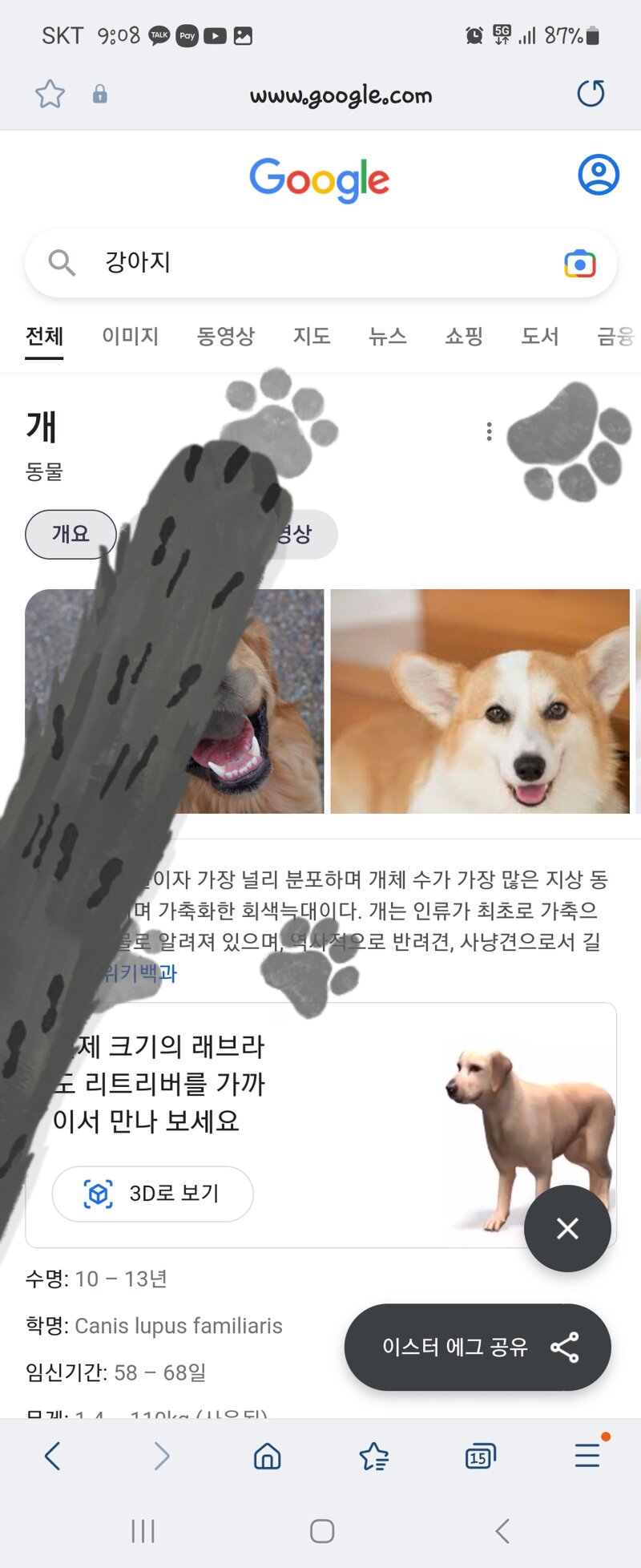 로스트아크 인벤 오늘은 강아지의 날 로스트아크 인벤 자유 게시판구