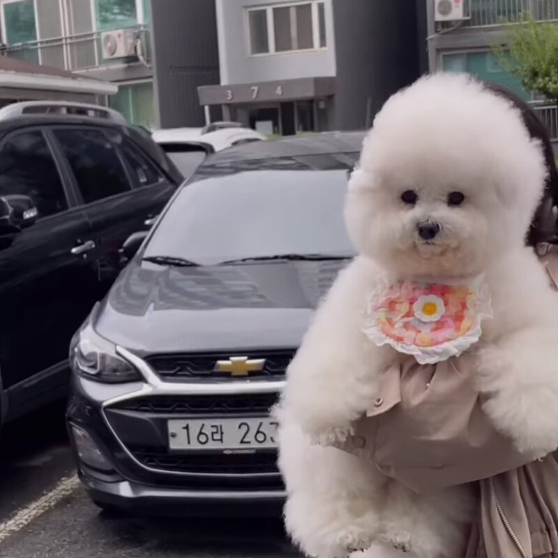 메이플스토리 인벤 ㄱㅇㅇ 메이플스토리 인벤 자유게시판