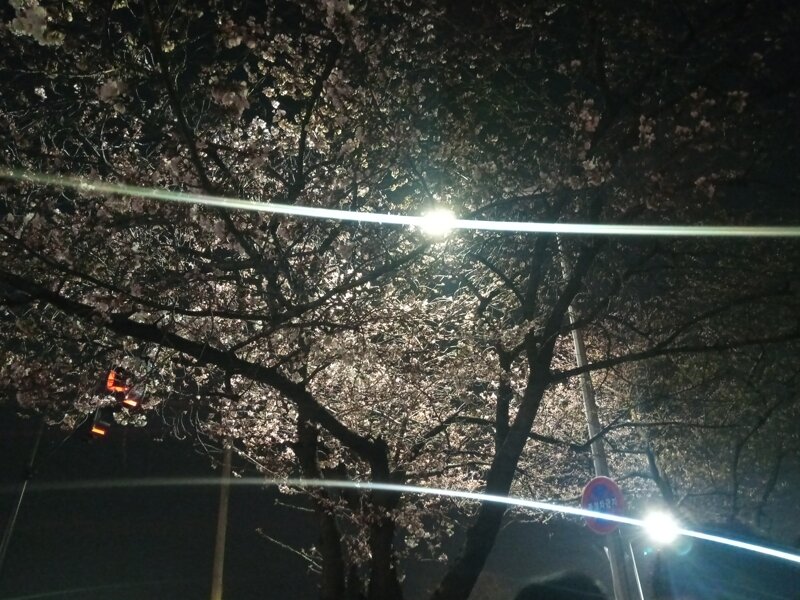 메이플스토리 인벤 그거알아 메이플스토리 인벤 자유게시판