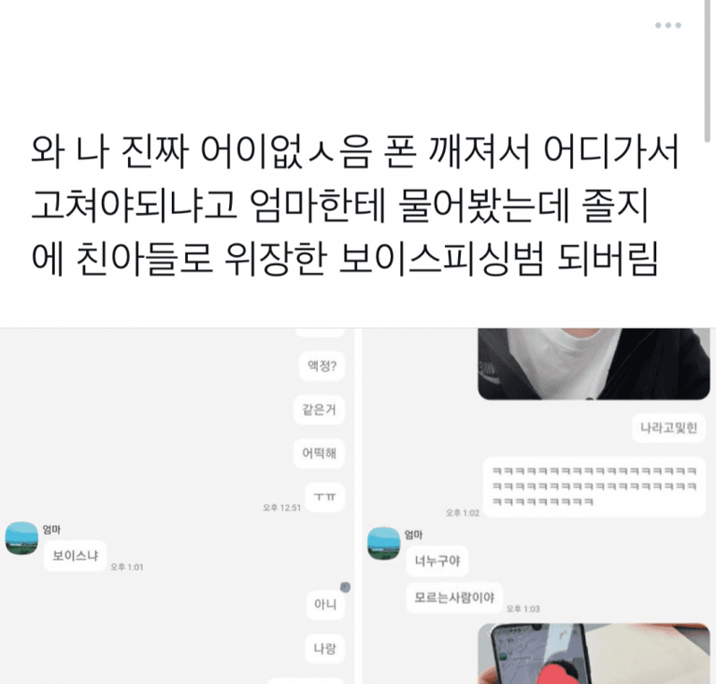 로스트아크 인벤 보이스피싱 절대 안당하는 엄마 ㅁㅊ ㄷㄷㄷㄷㄷ 로스트아크 인벤 자유 게시판