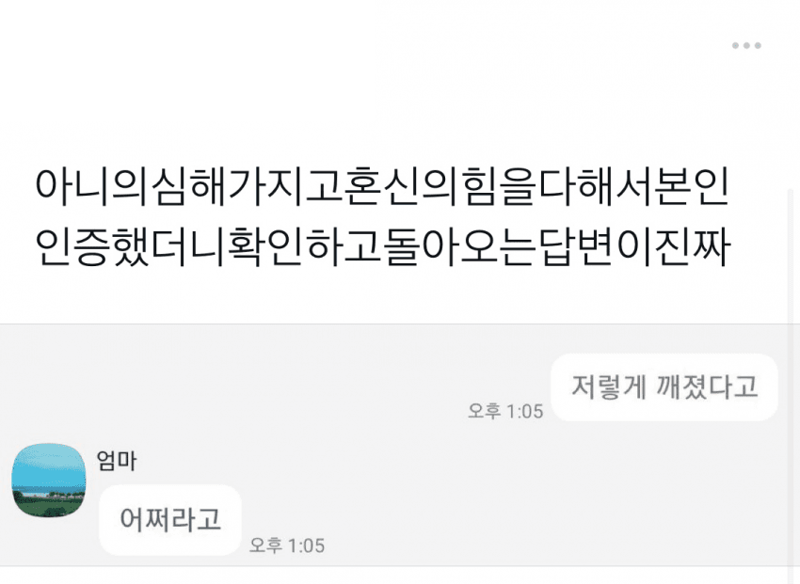 로스트아크 인벤 보이스피싱 절대 안당하는 엄마 ㅁㅊ ㄷㄷㄷㄷㄷ 로스트아크 인벤 자유 게시판