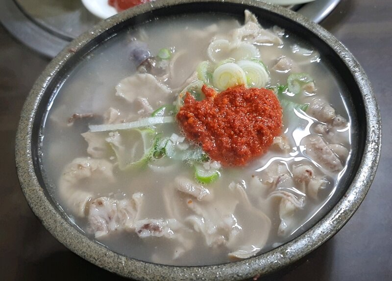 메이플스토리 인벤 배가 고파요 메이플스토리 인벤 자유게시판