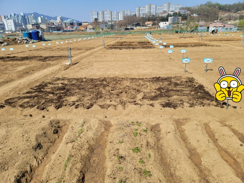 텃밭농사 시작 디아블로2 자유 게시판 디아블로2 인벤