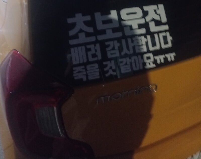 메이플스토리 인벤 초보운전 메이플스토리 인벤 자유게시판